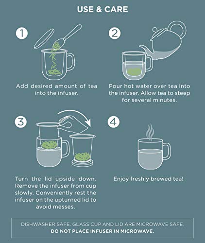 Teabloom Single-Serve Tea Maker - Double Wall Glass Cup with Infuser Basket and Lid for Steeping, Solista Brewing Mug (8 OZ)