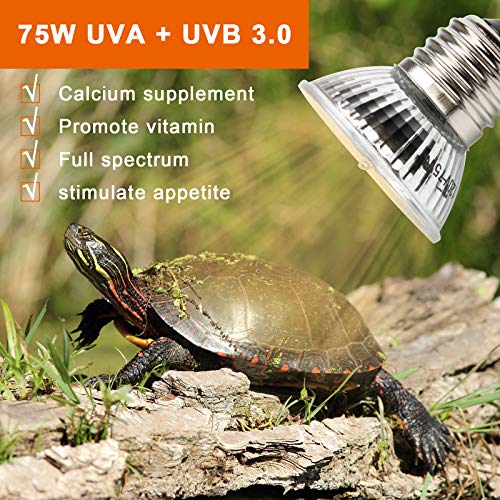 75W Sun Basking Lamp Bulb, AngleKai 6 Pack Full Spectrum UVA UVB Reptile Heat Lamp Bulb for Turtle Sunbathe Heat Lamp Bulb (75W) …