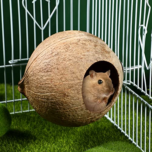 balacoo Coconut Shell Birds Nest- Natural Coconut Shell Bird Nest Keep Warm House Hut Cage for Pet Parrot Budgies Parakeet