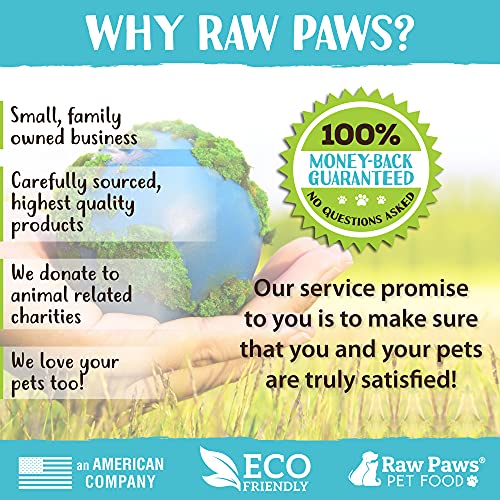 Raw Paws 2-Side Undercoat Rake for Dogs & Cats - For Mats, Tangle & Knots - Dog Rake for Undercoat - Dog Brush for Shedding - Cat Brush for Shedding Comb Dog Deshedding Tool - Dematting Tool for Dogs