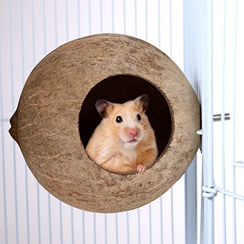 balacoo Coconut Shell Birds Nest- Natural Coconut Shell Bird Nest Keep Warm House Hut Cage for Pet Parrot Budgies Parakeet