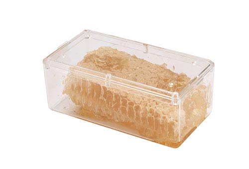 Pioneer Plastics 155C Clear Rectangular Plastic Container, 4.3125" W x 2.25" D x 1.75" H, Pack of 4