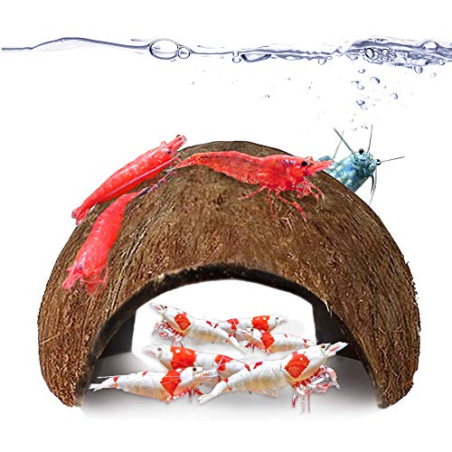 JOR 2-Pack Coconut Aquarium Shrimp Cave, Small Fish Tank Aquarium Decorations Accessories, Comfortable Shelter and Breeding Area for Crustaceans, Fish Hideout Aquarium Décor for Spawning