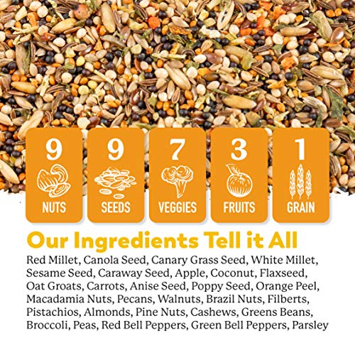 Dr. Harvey's Incredible Canary Food, Wholesome Seeds, Nuts, Fruits, and Vegetables Bird Feed for Singing Canaries, Trial Size (4 Oz)