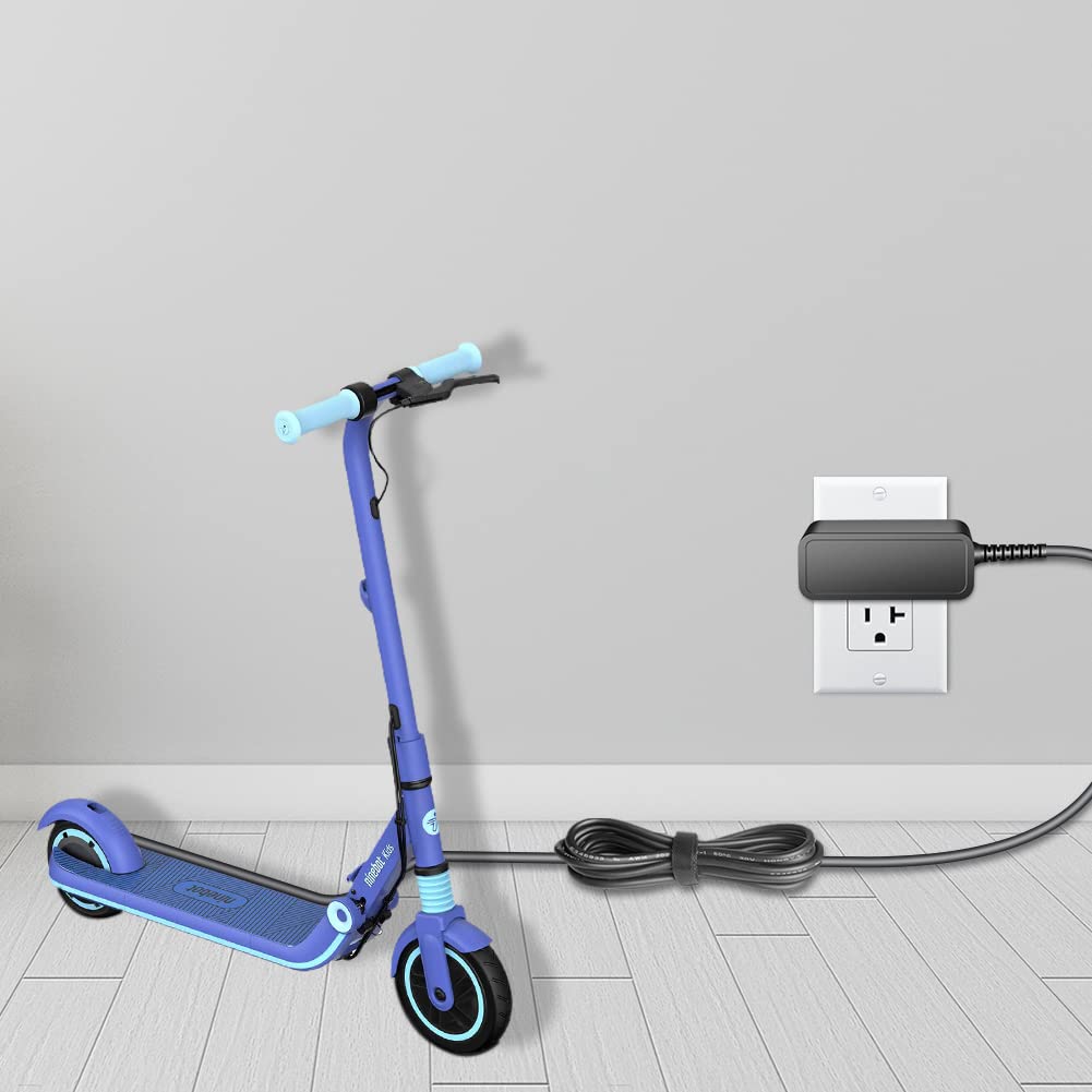 HKY AC DC Adapter Compatible with Segway eKickScooter Zing E8 E10 E12 Kids Electric Kick Scooter Power Supply Cord Cable,Model NB-25D2-00D8-US NB-25D2-00D8US Power Adapter Battery Charger