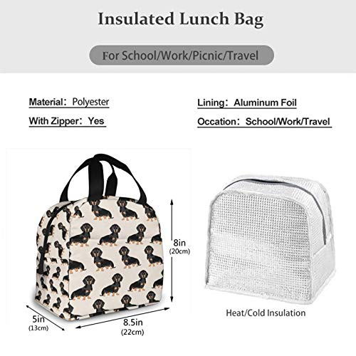 Doxie Dachshund Weiner Dog Lunch Bag For Women Insulated Lunch Box Reusable Cooler Tote Bag For Work Picnic Travel