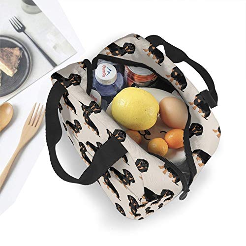 Doxie Dachshund Weiner Dog Lunch Bag For Women Insulated Lunch Box Reusable Cooler Tote Bag For Work Picnic Travel