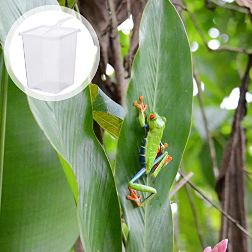Balacoo 2pcs Plastic Reptile Box Snake Turtle Breeding Box Case Feeding Hatching Container Pet Spider Scorpion Lizard Tank House for Home