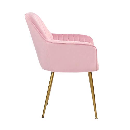 thksbought Set of 2 Velvet Dinning Chairs, Upholstered Accent Chairs with Gold Plating Legs for Living Room Chairs(Pink)
