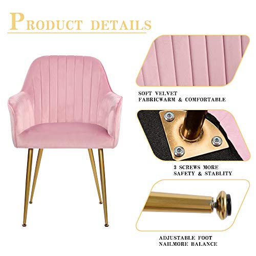 thksbought Set of 2 Velvet Dinning Chairs, Upholstered Accent Chairs with Gold Plating Legs for Living Room Chairs(Pink)