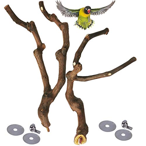 PINVNBY Natural Parrot Perch Bird Stand Pole Wild Grape Stick Paw Grinding Fork Parakeet Climbing Standing Branches Toy Chewable Cage Accessories for Small Lovebirds Budgies Cockatiels 2PCS