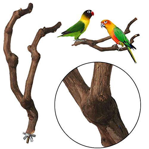 PINVNBY Natural Parrot Perch Bird Stand Pole Wild Grape Stick Paw Grinding Fork Parakeet Climbing Standing Branches Toy Chewable Cage Accessories for Small Lovebirds Budgies Cockatiels 2PCS