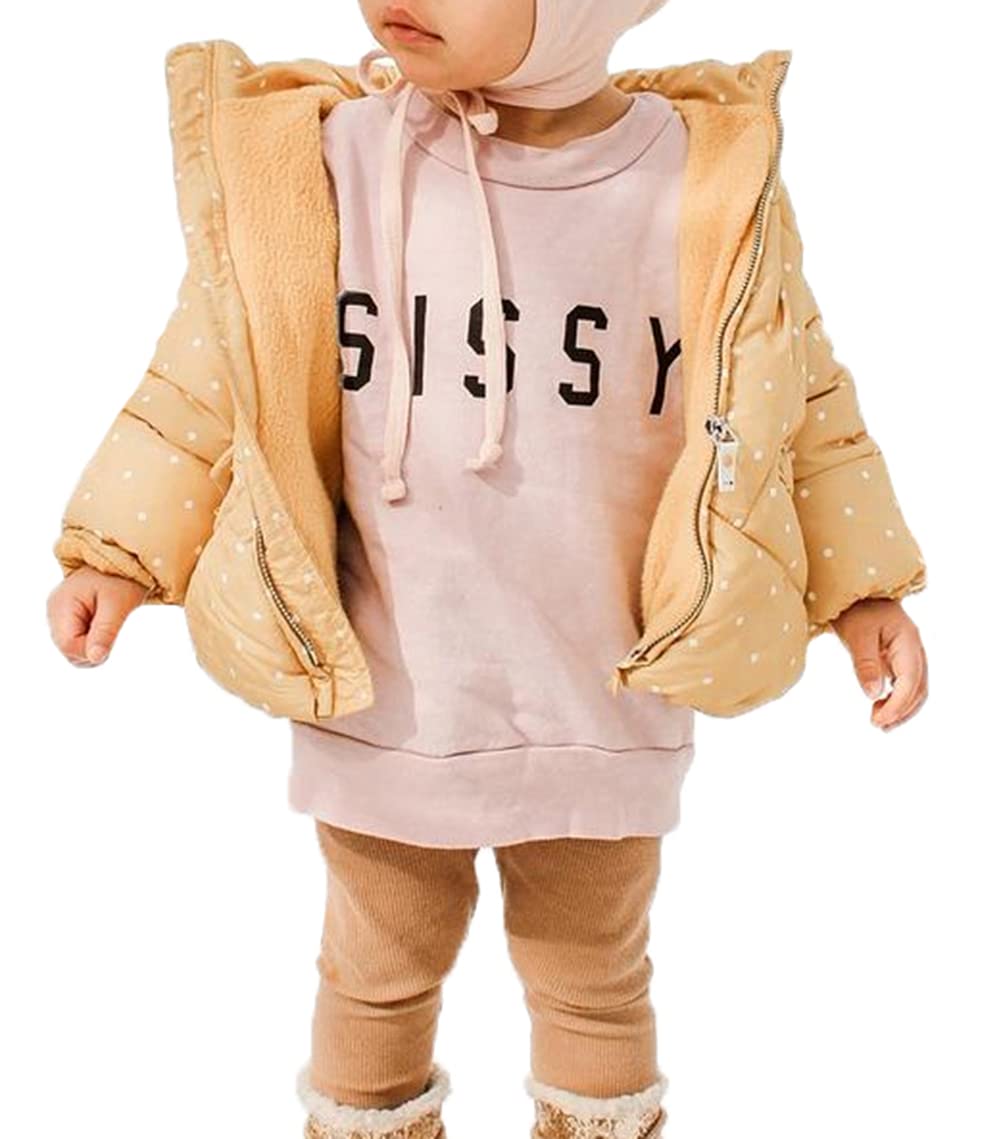 ZAXARRA Toddler Baby Boys Clothes Baby Sweatshirt Boys Girl Sweater Pullover Tops Unisex Baby Winter and Fall Clothes (Pink, 2-3 T)