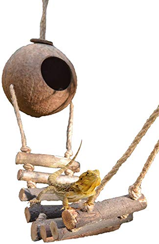 XXYWJF Gecko Coco Den with Ladder,Cave Habitat with Hanging Loop,Mini Condo for Lizards, Raw Coconut Husk Hide with Ladder,Gecko Coco den,5.1 Inches with 2.3Inches Opening Diameter