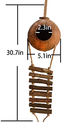 XXYWJF Gecko Coco Den with Ladder,Cave Habitat with Hanging Loop,Mini Condo for Lizards, Raw Coconut Husk Hide with Ladder,Gecko Coco den,5.1 Inches with 2.3Inches Opening Diameter