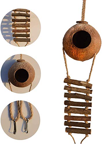 XXYWJF Gecko Coco Den with Ladder,Cave Habitat with Hanging Loop,Mini Condo for Lizards, Raw Coconut Husk Hide with Ladder,Gecko Coco den,5.1 Inches with 2.3Inches Opening Diameter