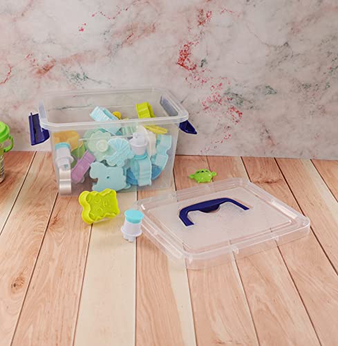 DynkoNA 6-Pack 3 L Small Plastic Storage Box with Lid, Clear Storage Bins