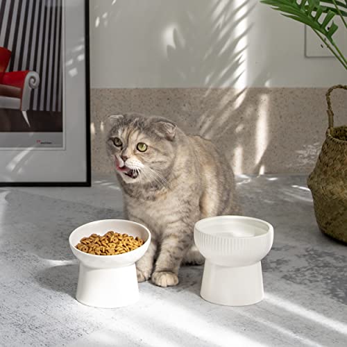 Qucey Ceramic Cat Food and Water Bowl Set, Raised Tilted Cat Feeder Dishes with Stand, Elevated Pet Food Bowl for Cats and Small Dogs, Anti Vomiting & Reduce Neck Burden