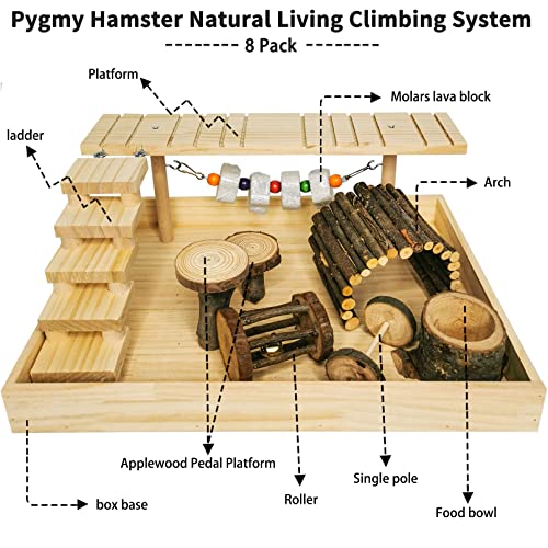 Hamiledyi Dwarf Hamster Activity Playground Natural Wood Gerbil Climbing Platform Mice Living Gym System Set Syrian Exercise Cage Accessories with Lava Stone String Chewing Toy Ladder Bridge Ramp