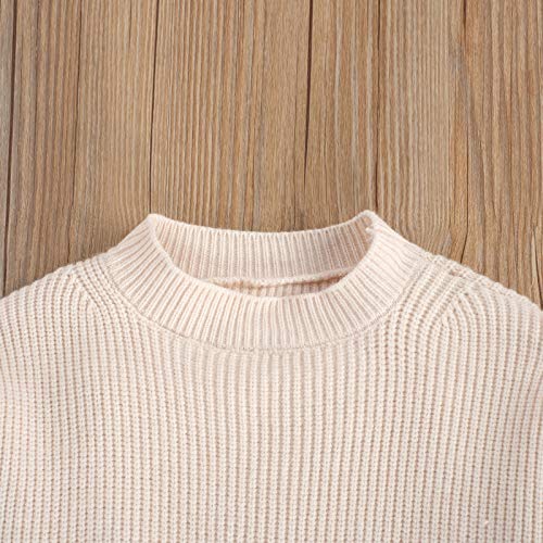 Toddler Baby Girl Boy Knitted Sweater Long Sleeve Solid Color Pullover Crewneck Sweatshirt Top Fall Winter Clothes (Beige, 2-3T)