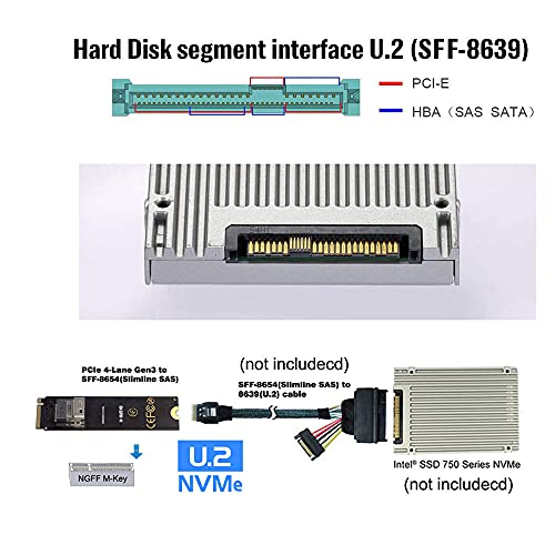 xiwai NGFF M-Key NVME to SFF-8654 Slimline SAS Card Adapter and U.2 U2 SFF-8639 NVME PCIe SSD Cable for Mainboard SSD