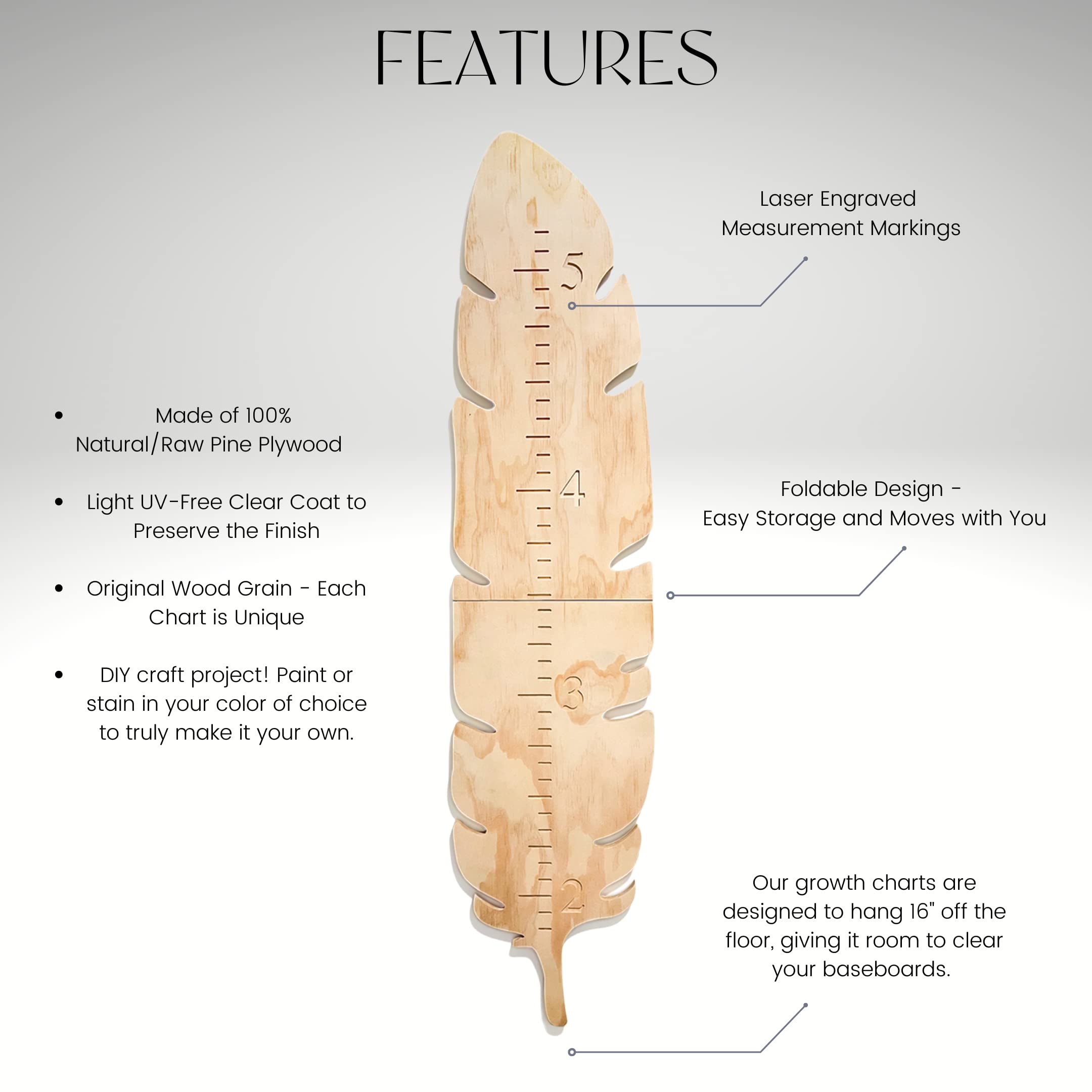 LittleRobbieCo. Wooden Growth Chart for Kids | Feather Design Height Chart for Kids | Natural Pine Laser Engraved Kids Growth Chart for Wall w/Mount | Foldable Kids Height Wall Chart