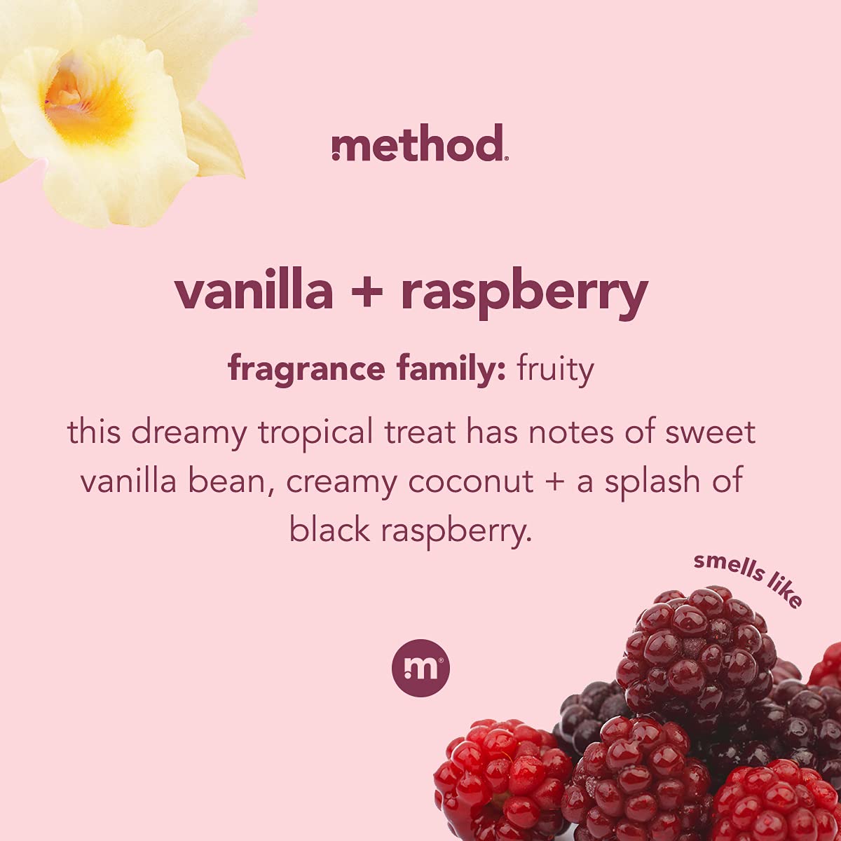 Method Premium Gel Hand Soap Refill, Vanilla + Raspberry, Recyclable Bottle, Biodegradable Formula, 34 fl oz (Pack of 4)