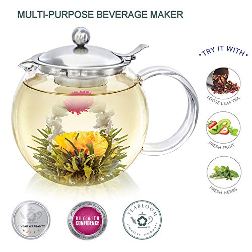 Teabloom All-in-One Glass Teapot and Tea Kettle β Heatproof Borosilicate Glass Tea Maker with Removable Stainless Steel Loose Tea Infuser β Classica Stovetop Tea Pot (40 oz)