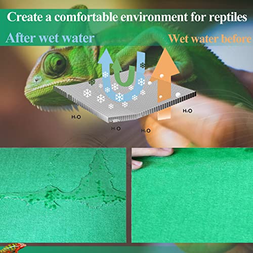 HERCOCCI 2 Pack Reptile Carpet, 39ββ x 20ββ Terrarium Bedding Substrate Liner Reptile Cage Mat Tank Accessories for Bearded Dragon Lizard Tortoise Leopard Gecko Snake (Green)