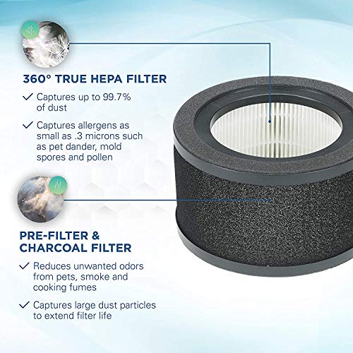 Germ Guardian True HEPA Filter Air Purifier with FLT4200 Genuine True HEPA Air Purifier Replacement Filter L for GermGuardian AC4200W