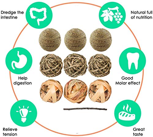 RoyalPolar 8 Pcs Small Animals Chew Toys Rat Activity Ball Guinea Pig Play Toys for Rabbits Squirrel Gerbils Small Pets Chewing and Playing Exercise Teeth Care, Pet Cage Entertainment Accessories