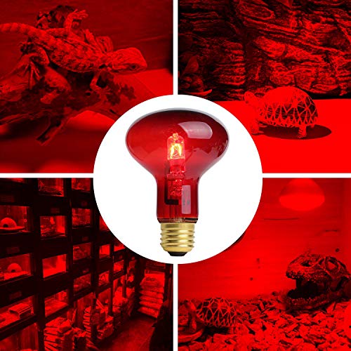 FIVEAGE 75W Red Heat Light Reptile Heat Lamp Infrared Bulb UVA Basking Spot Bulb for Reptile and Amphibian Use - Bearded Dragons Lizard Tortoise Snake Chameleon 2 Pack