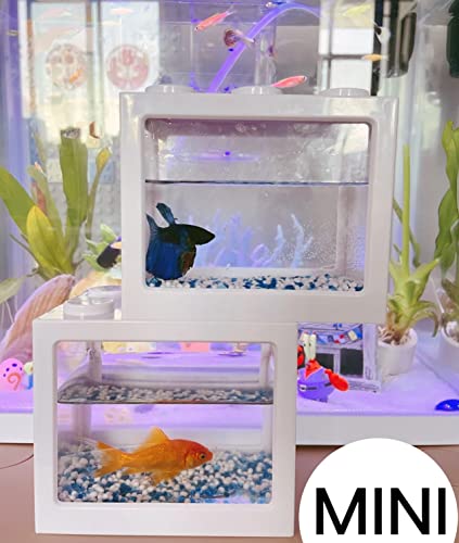 Small Betta Fish Tank, Large Fish Tank Fish Bow Aquarium with Imitation Starfish Coral Decoration, Clear Stackable Cube Tank for Ant Feeding Jellyfish Goldfish Moss Balls Insects,76oz