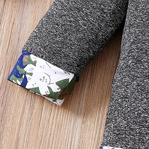 Viworld Toddler Baby Boy Clothes Infant Long Sleeve Hoodie Tops Dinosaur Print Pants Fall Winter 2pcs Outfit Set (Grey, 3-4T)