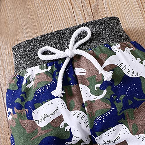Viworld Toddler Baby Boy Clothes Infant Long Sleeve Hoodie Tops Dinosaur Print Pants Fall Winter 2pcs Outfit Set (Grey, 3-4T)