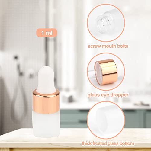 30 Pack Frosted Glass Dropper Bottle,Essential Oil Dropper Bottle Travel Glass Vials Cosmetic Sample Container For Essential Oils,Perfume With Glass Eye Dropper&Rose Gold Lids (1ml)