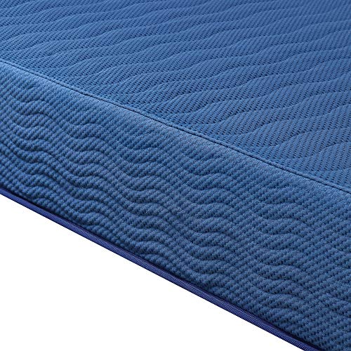 PrimaSleep 10 Inch New Glass Fiber Free Foam Mattress,Comfort Body Support (Full) (PR10FMF1F)