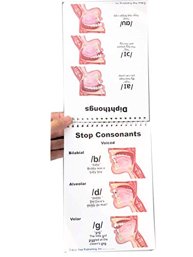 Speech Articulation Anatomy Flip Charts
