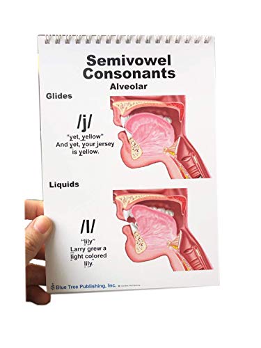 Speech Articulation Anatomy Flip Charts