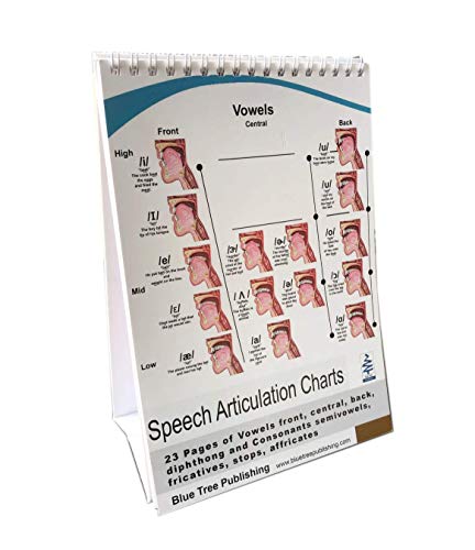 Speech Articulation Anatomy Flip Charts