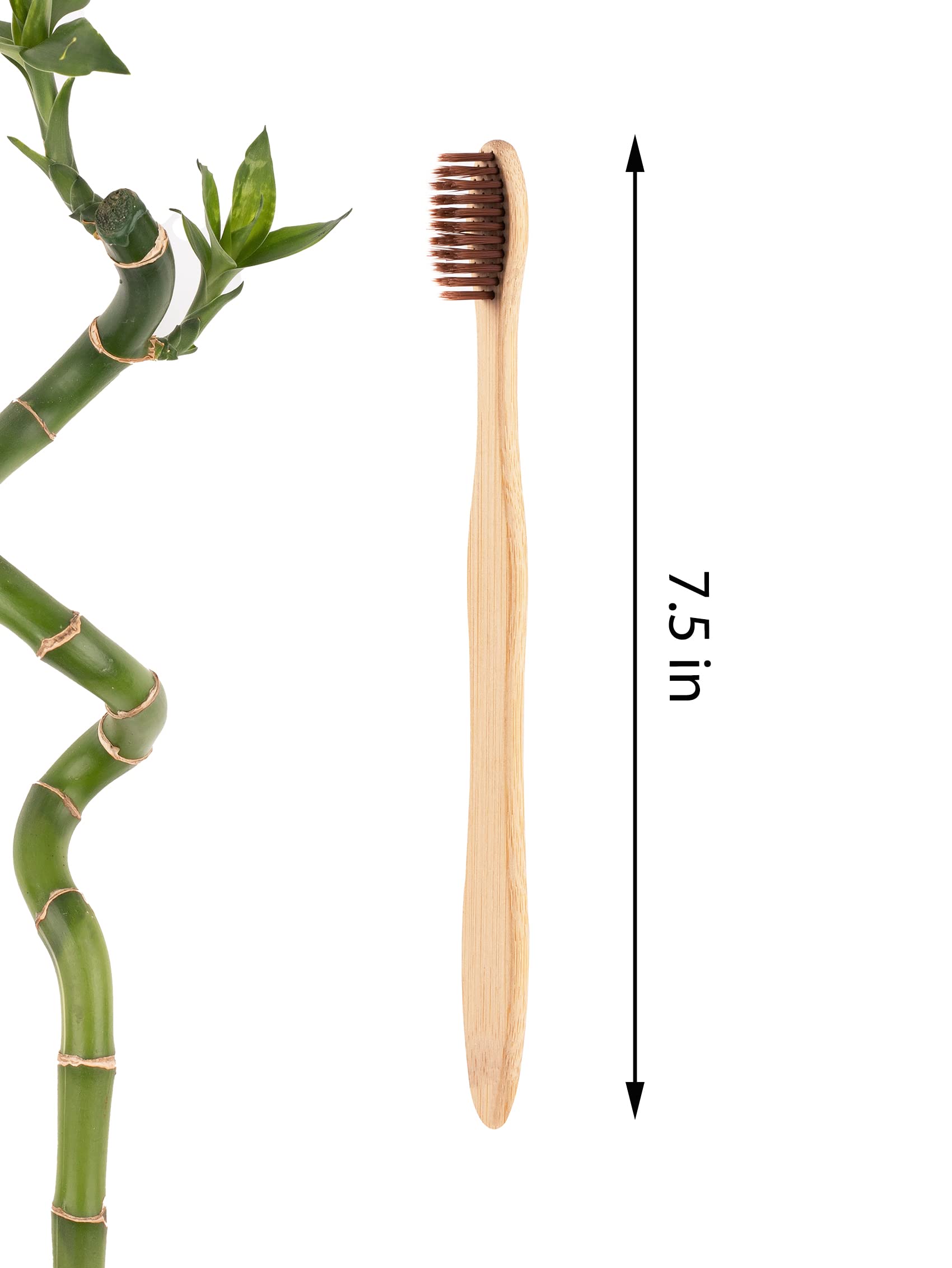 TanAisu Bamboo Toothbrushes with 10 Floss Picks, Travel Case - Biodegradable Toothbrushes (2 Brown, 2 Black, 2 White, 1 Purple, 1 Fuchsia) & Dental Floss Picks| Cover