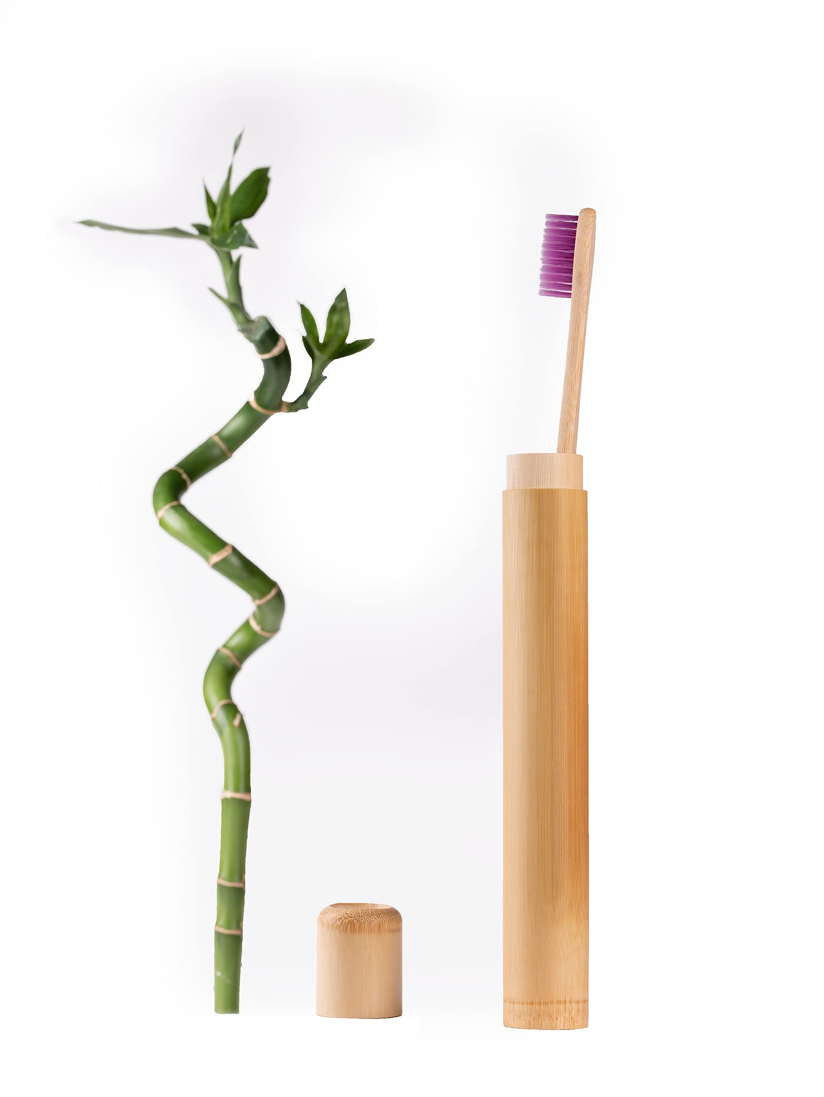 TanAisu Bamboo Toothbrushes with 10 Floss Picks, Travel Case - Biodegradable Toothbrushes (2 Brown, 2 Black, 2 White, 1 Purple, 1 Fuchsia) & Dental Floss Picks| Cover