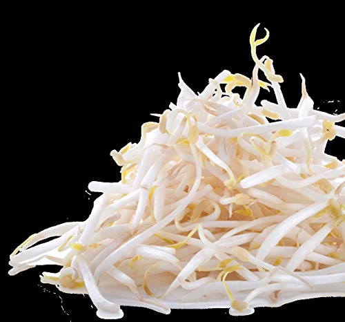 Nature Jims Mung Bean Sprout Seeds β 16 Oz Sprouting Seeds β Premium Mung Bean Seeds β NON GMO- Resealable Bag for Longer Freshness β Rich in Vitamins, Minerals, Fiber