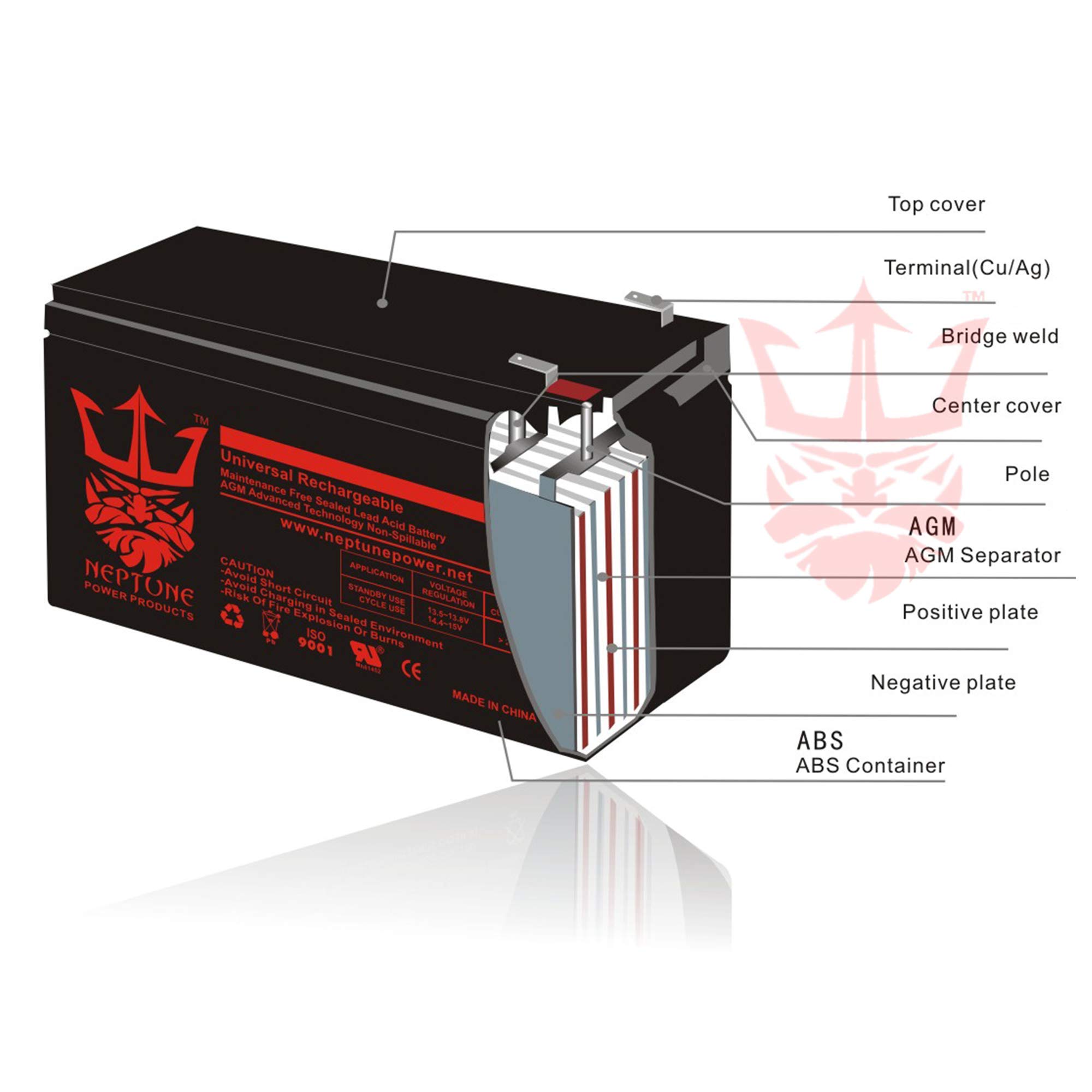 Neptune Power Replacement Battery for Razor E125 Version 16-37 & Razor E150 Version 1-5 with F1 Terminals - 2 Pack (Batteries Only)