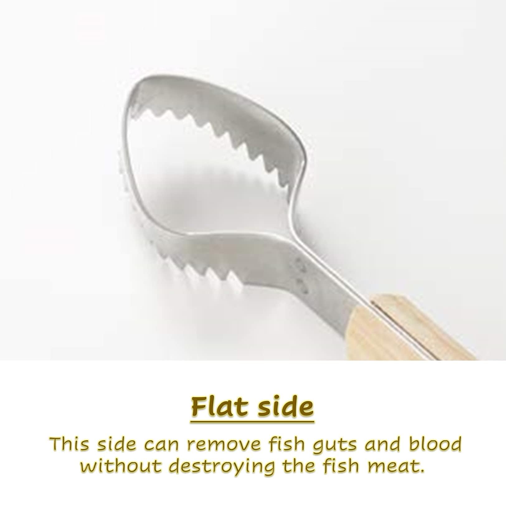 Kanda Fish Scaler Remover Tool Scraper 2Way Fast Cleaning Fish Skin, Stainless Steel with Wooden Handle, Easy and No Mess, Made in Japan