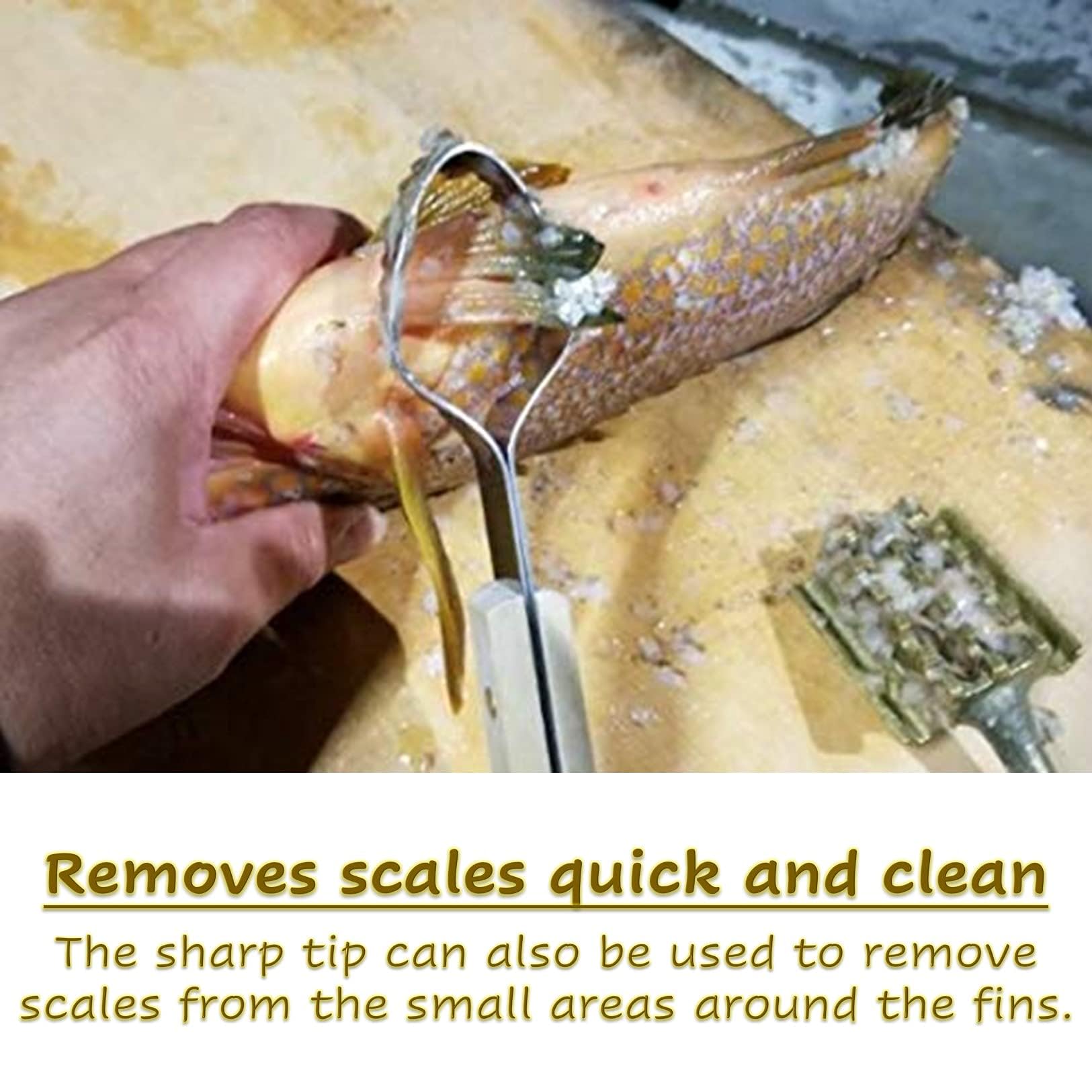Kanda Fish Scaler Remover Tool Scraper 2Way Fast Cleaning Fish Skin, Stainless Steel with Wooden Handle, Easy and No Mess, Made in Japan