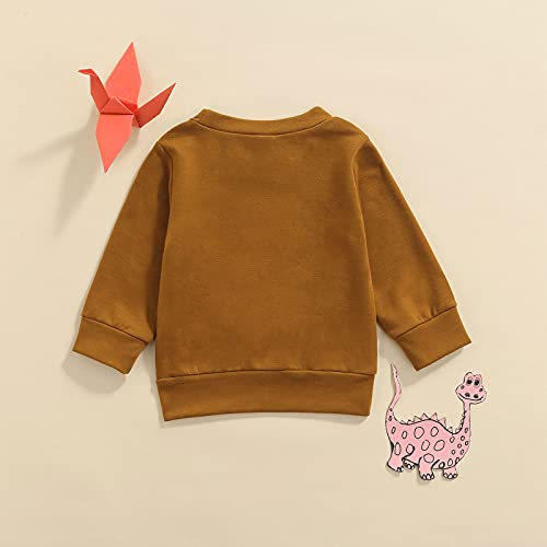 Fernvia Newborn Baby Boys Girls Toddler Sweatshirt Pullover Long Sleeve Top Shirt Letter Sun Printed Cotton Infant Jumper Tops (B Khaki, 12-18 Months)