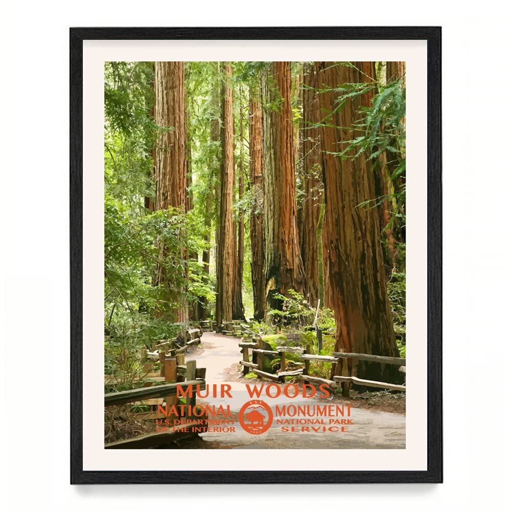 - Muir Woods National Monument Poster Print - WPA Wall Art - Travel Poster Home Décor - Housewarming Gift - 11 x 14 Unframed Art Print