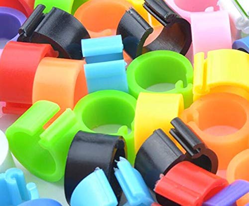 ( Pack of 100 Pcs ) ,Bird Rings Multicolor Colorful Leg Bands for Pigeon Parrot Finch Canary Hatch Chicks Bantam Poultry Bayonet Rings ,8mm inside diameter