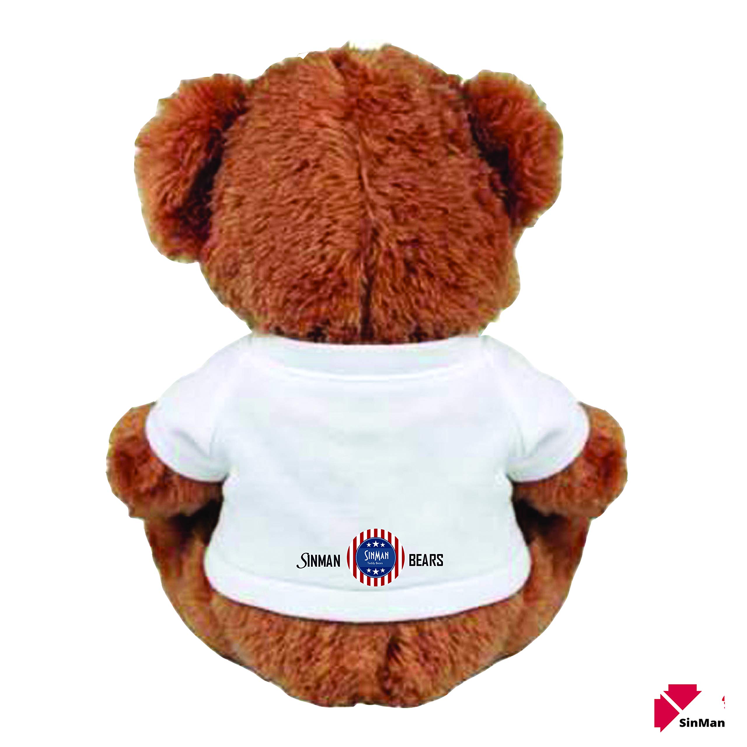 "SORRY I'M SUCH AN IDIOT" 13" Inch Teddy Bear - Cute And Cuddly : Funny Teddy Bear Couple Gift : Romantic Cute Teddy Bear Stuffed Animal